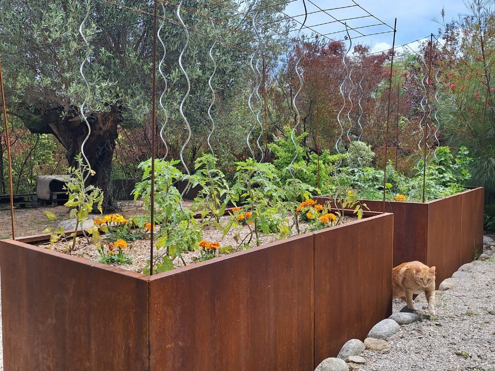 Inspiratie voor je moestuin: praktische voorbeelden